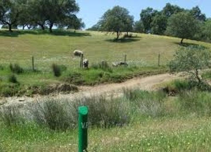 Red Viaria forestal REDVIA. Andalucía | Red Estatal de Montes Públicos ...